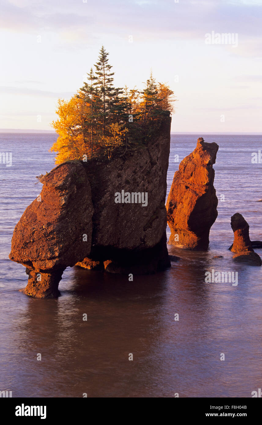 Shepody new brunswick hi-res stock photography and images - Alamy