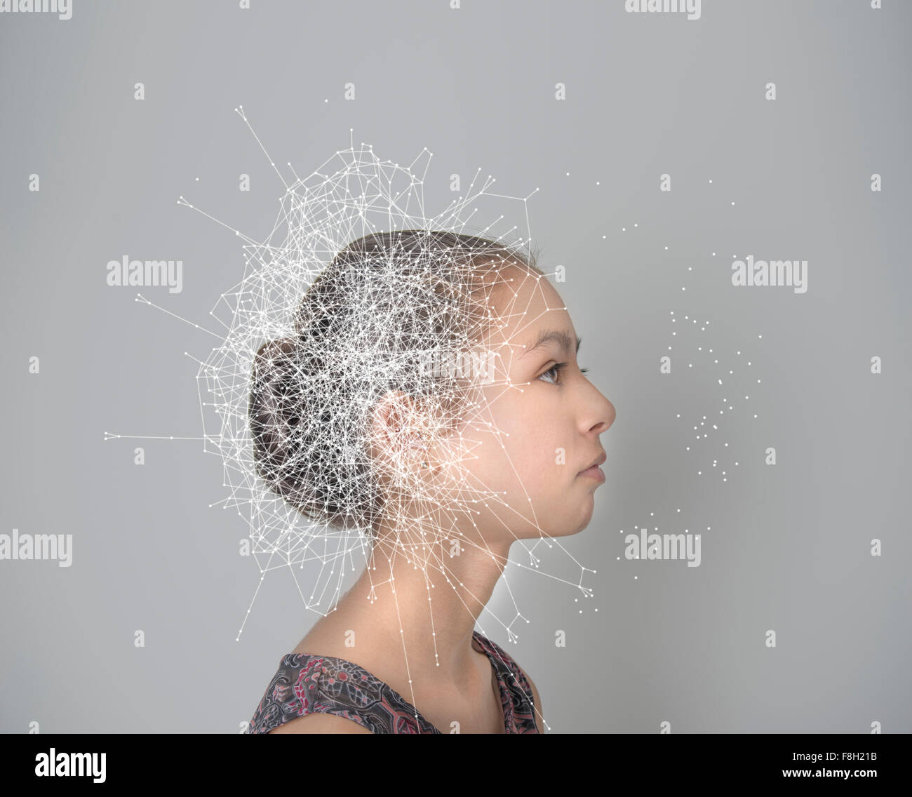 Spider diagram hi-res stock photography and images - Alamy
