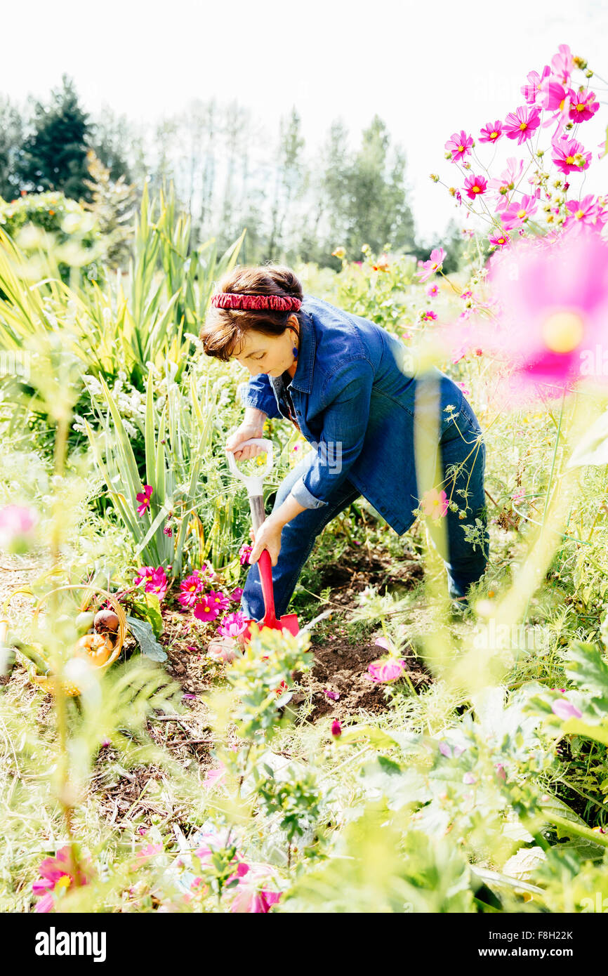 Caucasian woman digging in garden Stock Photo - Alamy