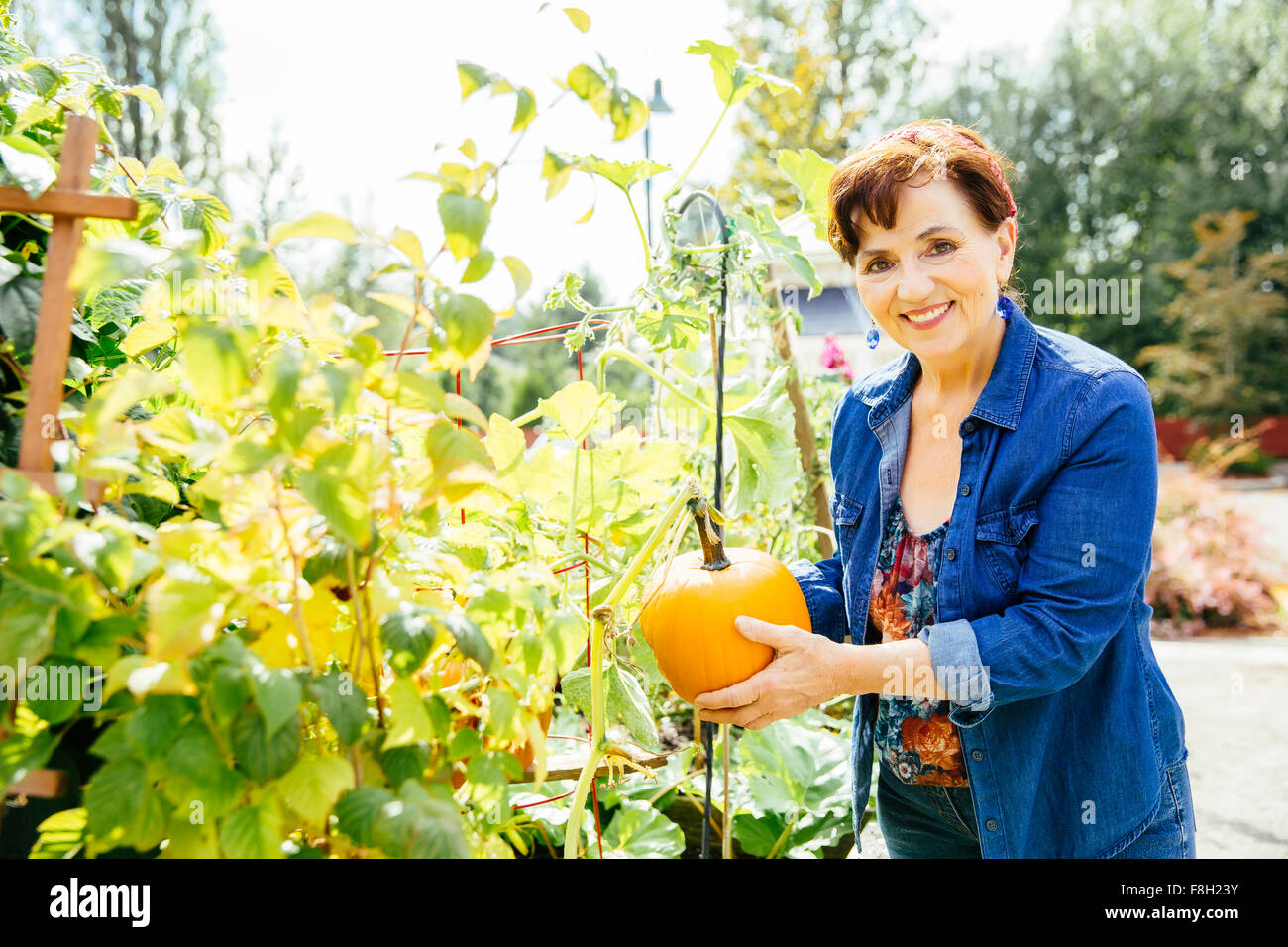 Women holding pumpkin hi-res stock photography and images - Alamy