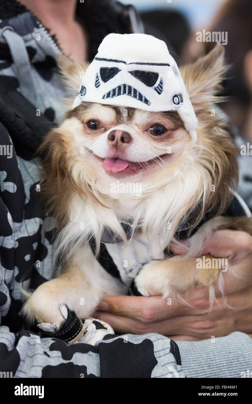 Chiba, Japan. 10th December, 2015. A dog wears an Imperial Stormtrooper ...