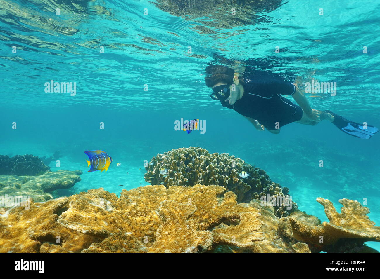 Man snorkeling underwater with a small colorful fish, looking at each ...