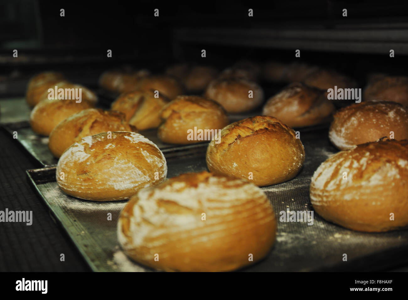 bread bakery food factory production with fresh products Stock Photo ...