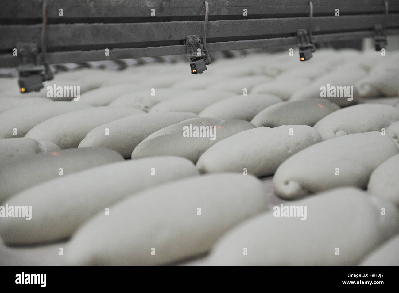 bread bakery food factory production with fresh products Stock Photo ...