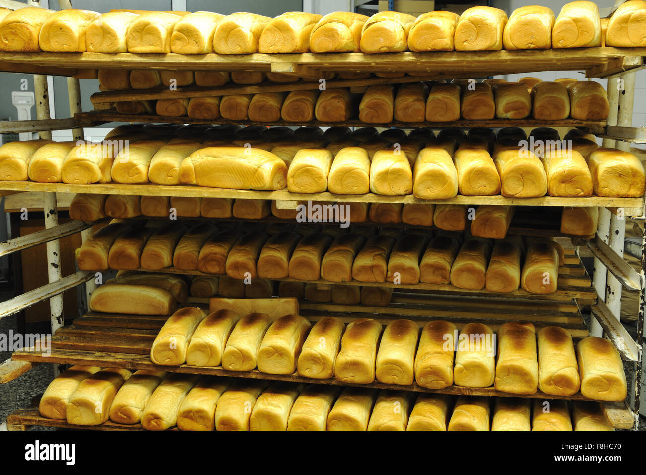 bread bakery food factory production with fresh products Stock Photo ...