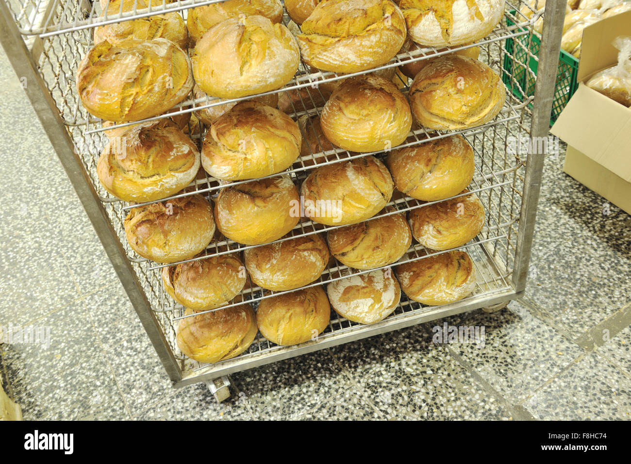 bread bakery food factory production with fresh products Stock Photo ...