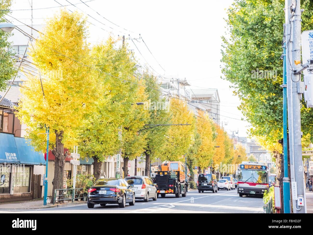 Setagaya-dori street ,Setagaya-Ku,Tokyo,Japan Stock Photo - Alamy
