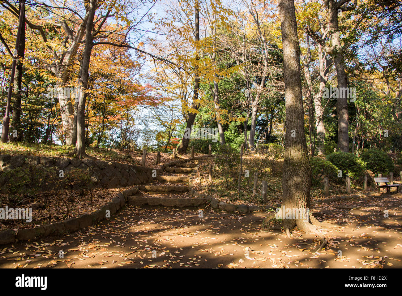 Former Setagaya castle,Setagaya-Ku,Tokyo,Japan Stock Photo - Alamy