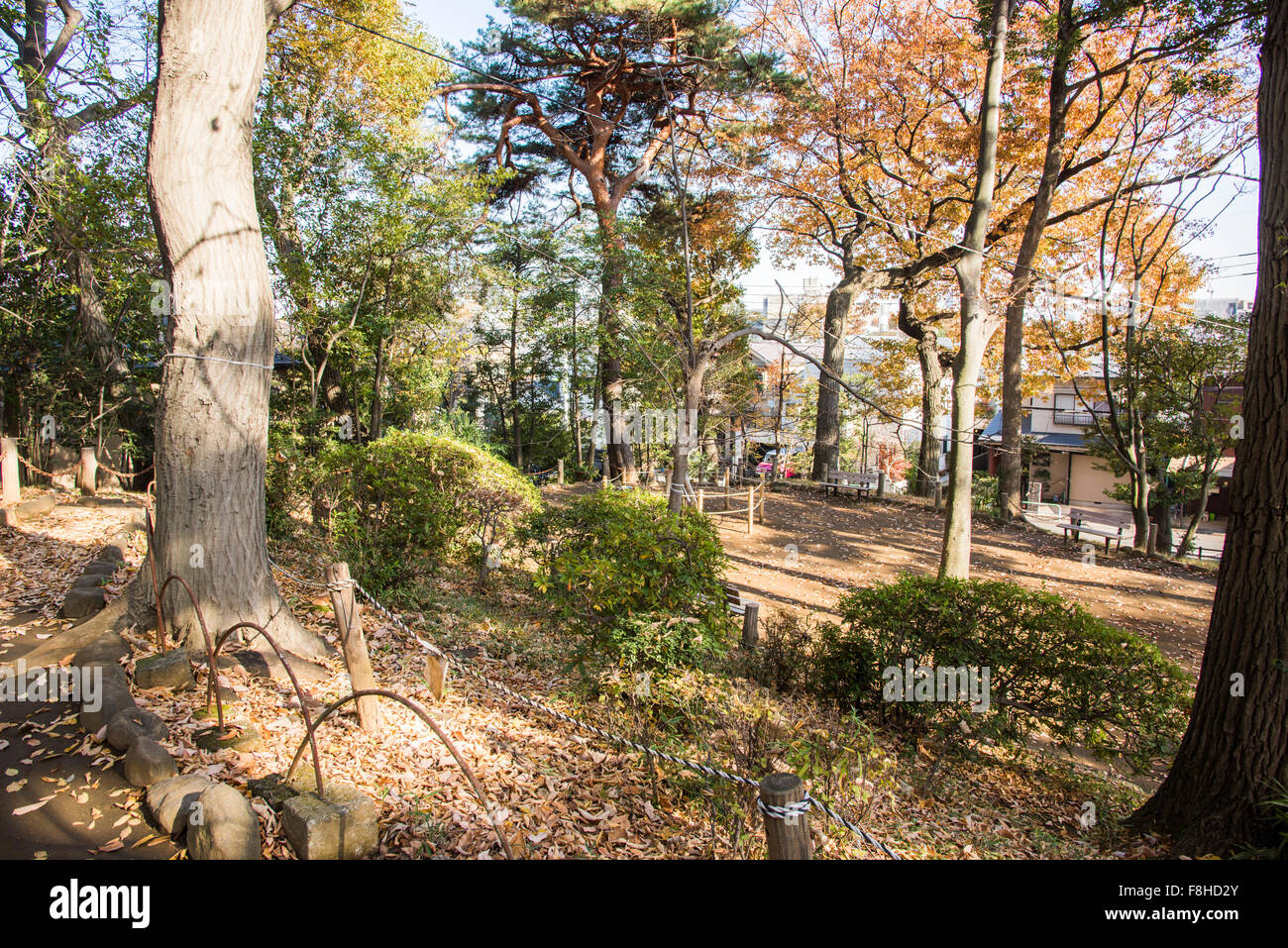 Former Setagaya castle,Setagaya-Ku,Tokyo,Japan Stock Photo - Alamy