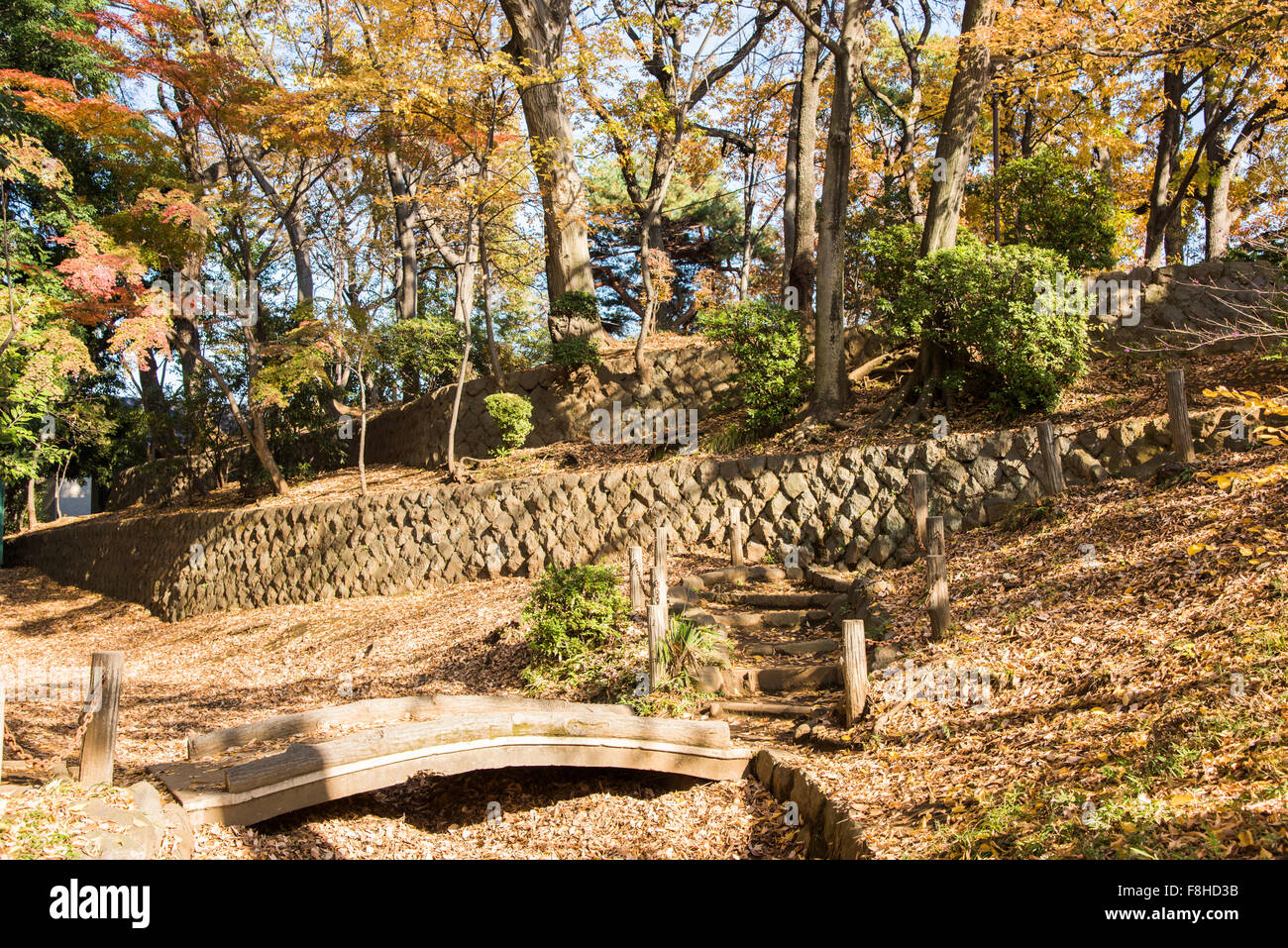 Former Setagaya castle,Setagaya-Ku,Tokyo,Japan Stock Photo - Alamy