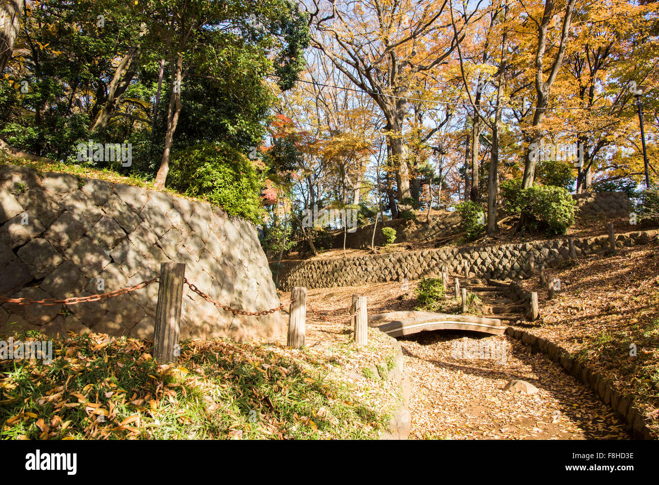 Former Setagaya castle,Setagaya-Ku,Tokyo,Japan Stock Photo - Alamy