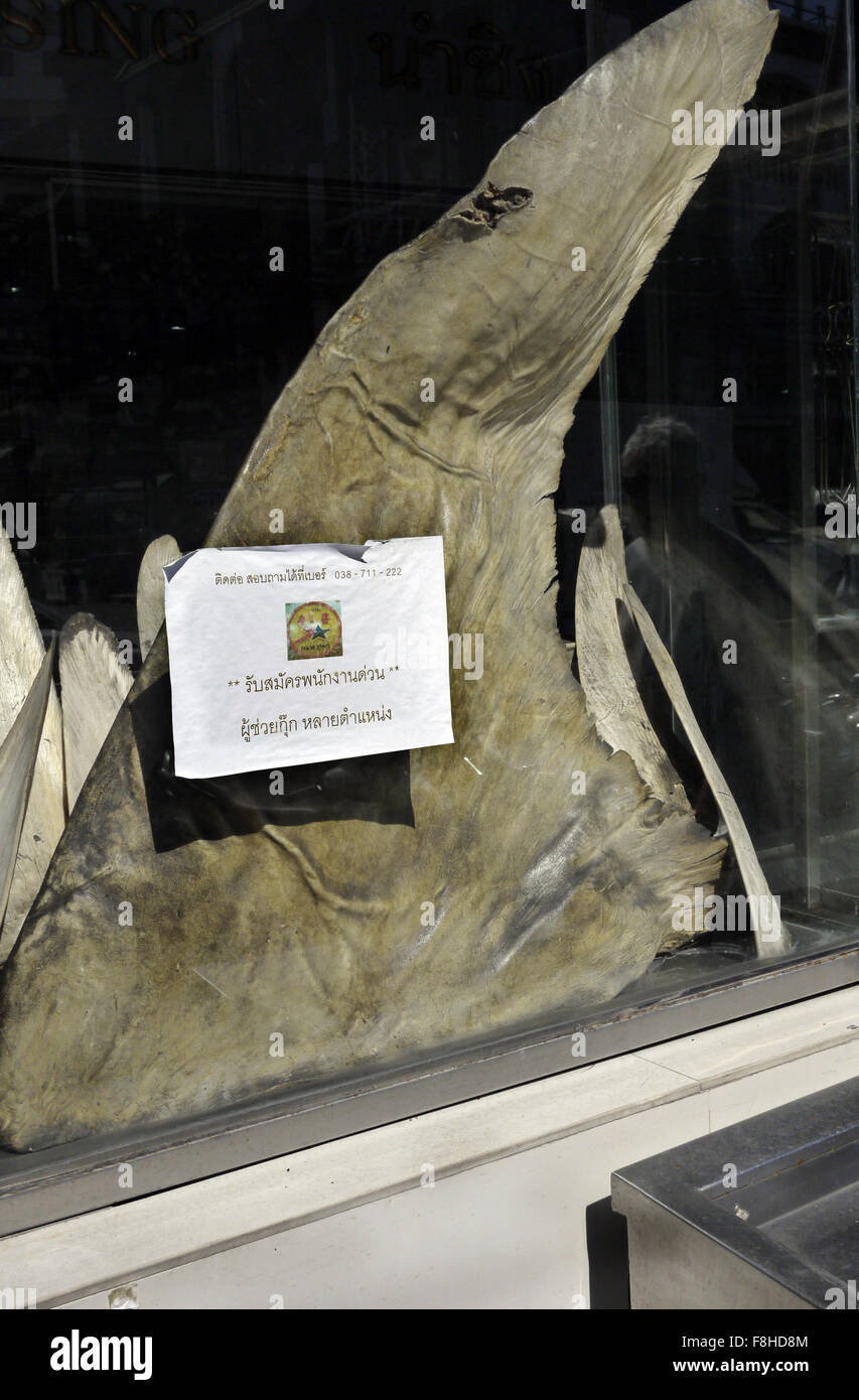 Shark fins on display in a glass case outside a Thai restaurant in ...