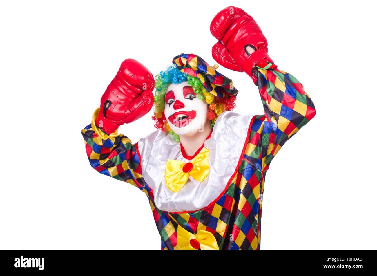 Clown with boxing gloves isolated on white Stock Photo - Alamy