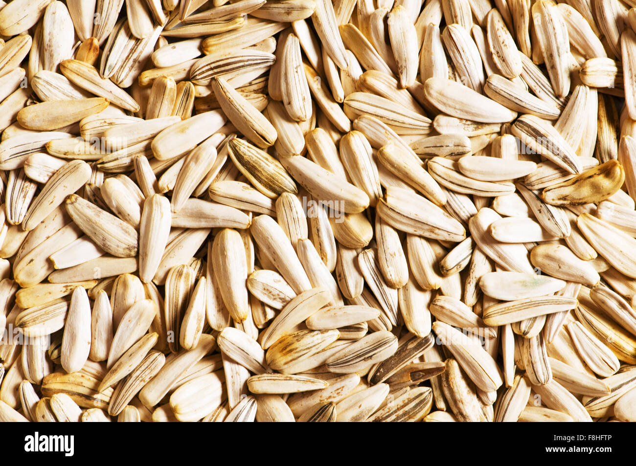 Lots of sunflower seeds arranged as background Stock Photo - Alamy