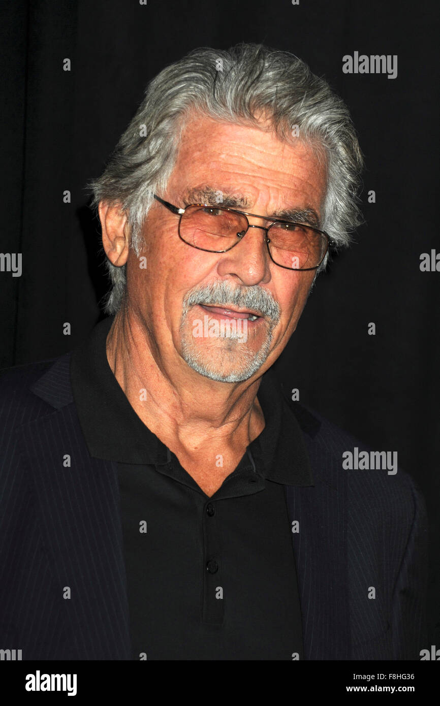 New York City. 8th Dec, 2015. James Brolin attends the 'Sisters' New ...