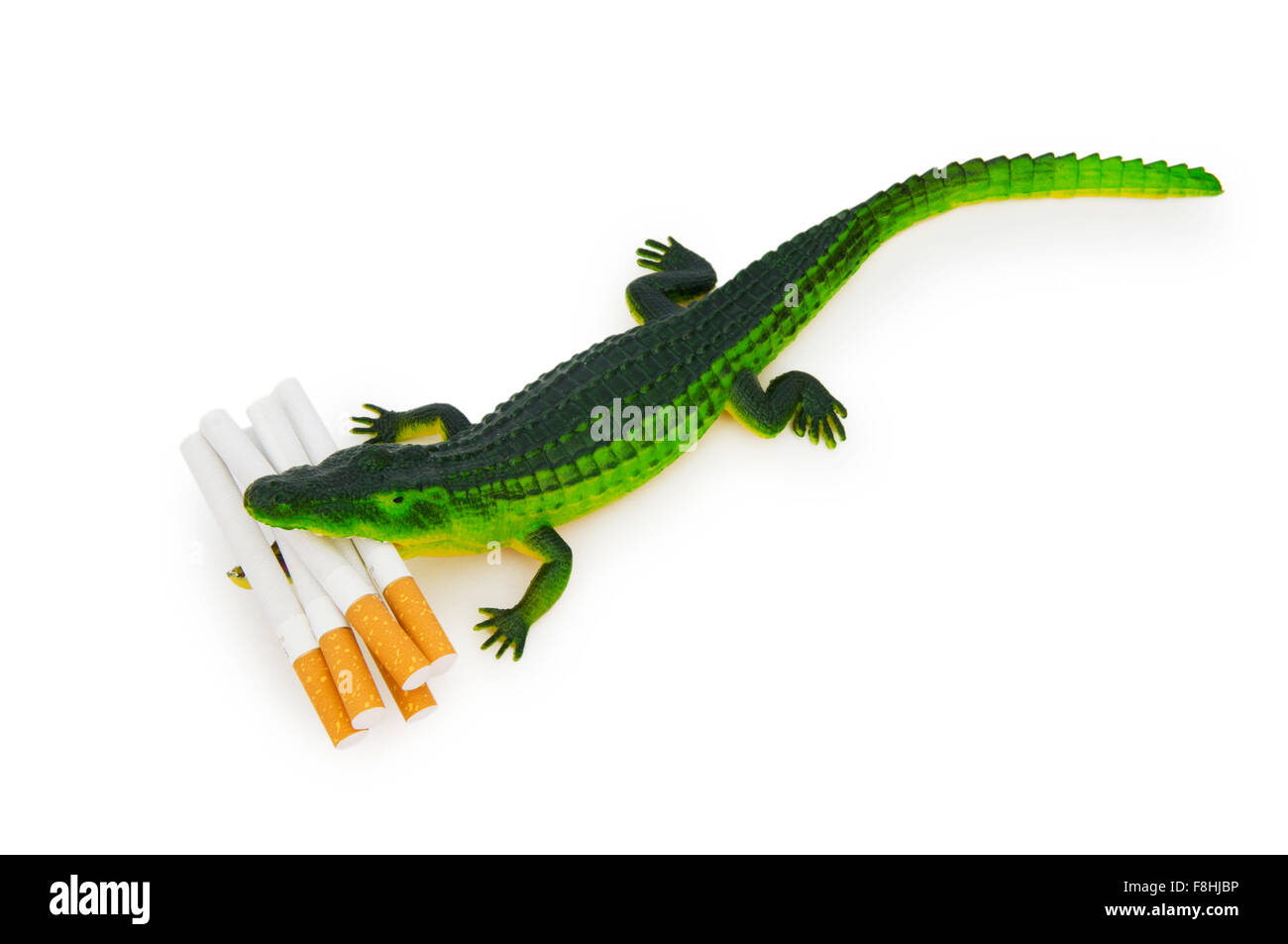 Crocodile with cigarettes isolated on white Stock Photo - Alamy