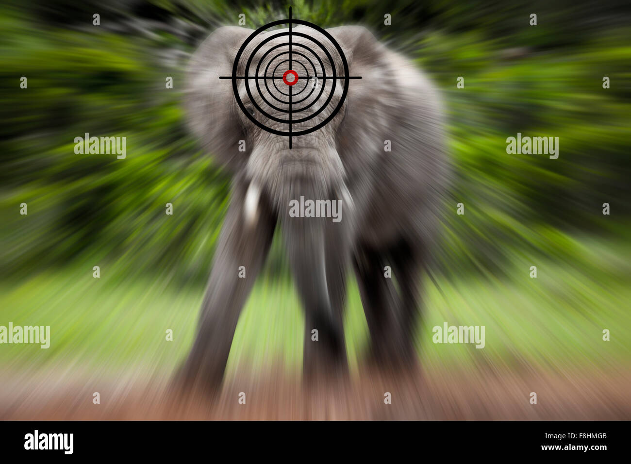 Anti poaching awareness of elephants concept Stock Photo - Alamy