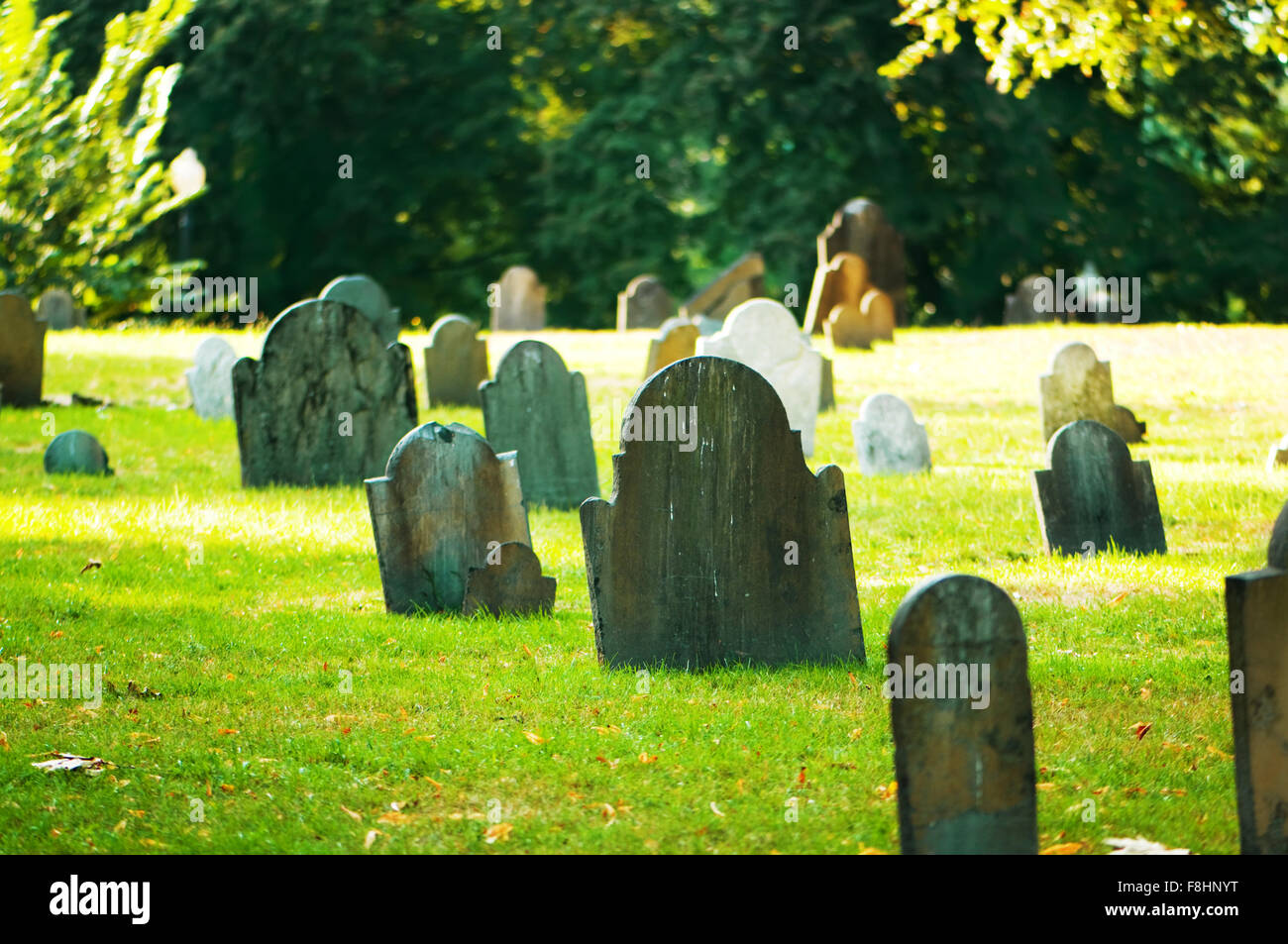 Cemetery with many tombstones on the bright day Stock Photo - Alamy