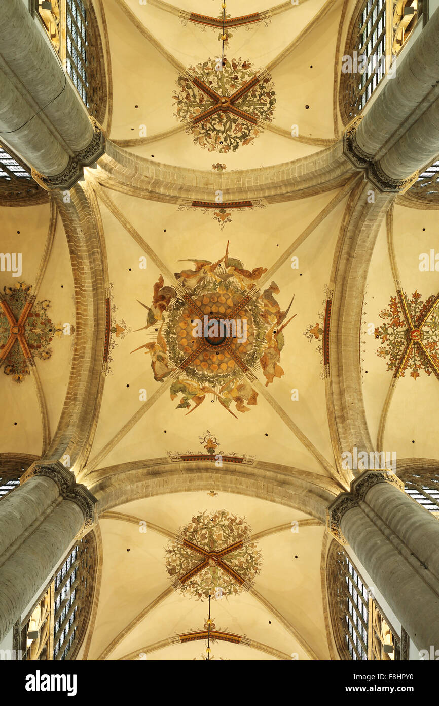 The ceiling of the Grote Kerk (Church of Our Lady) in Breda, the ...