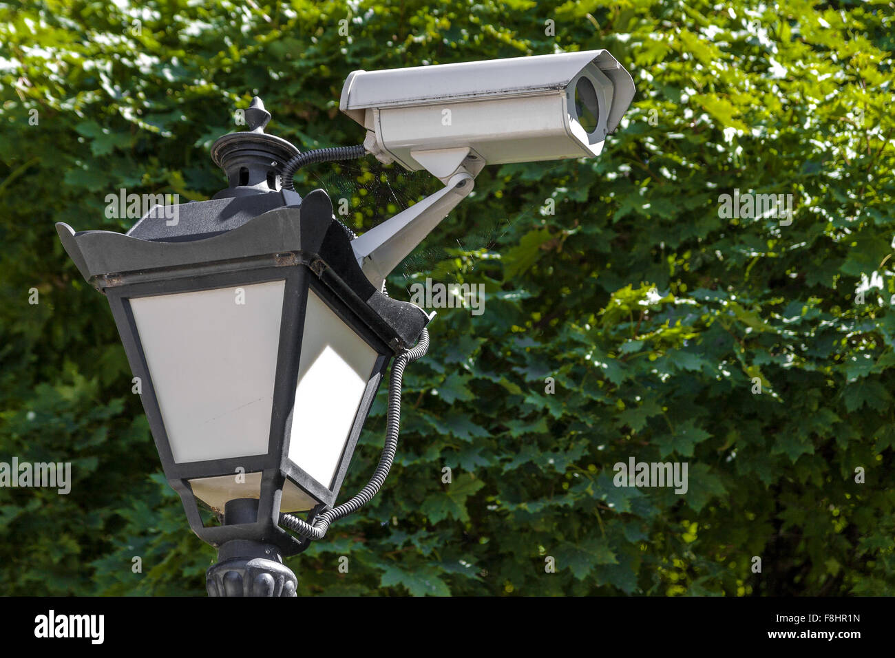 Camera cctv fixed on top of street lantern against background of green ...