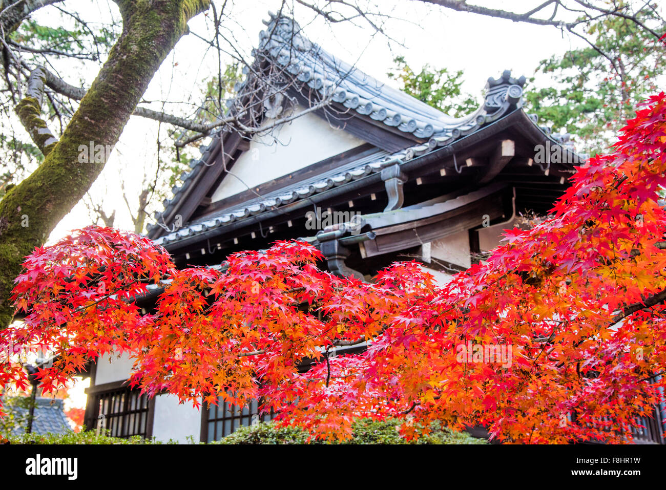 Japan setagaya ku temple hi-res stock photography and images - Alamy
