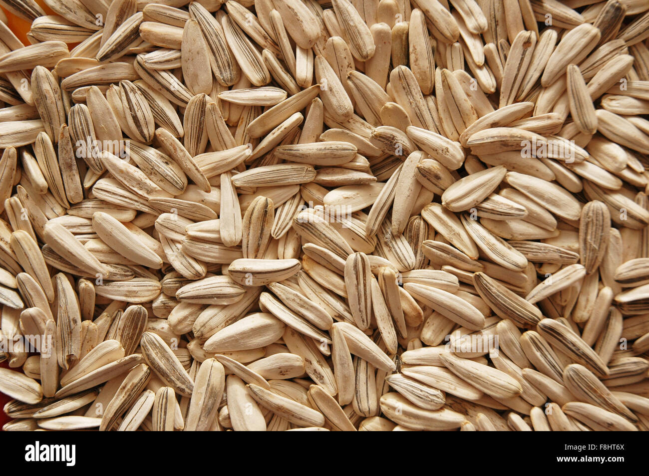 Lots of sunflower seeds arranged as background Stock Photo - Alamy