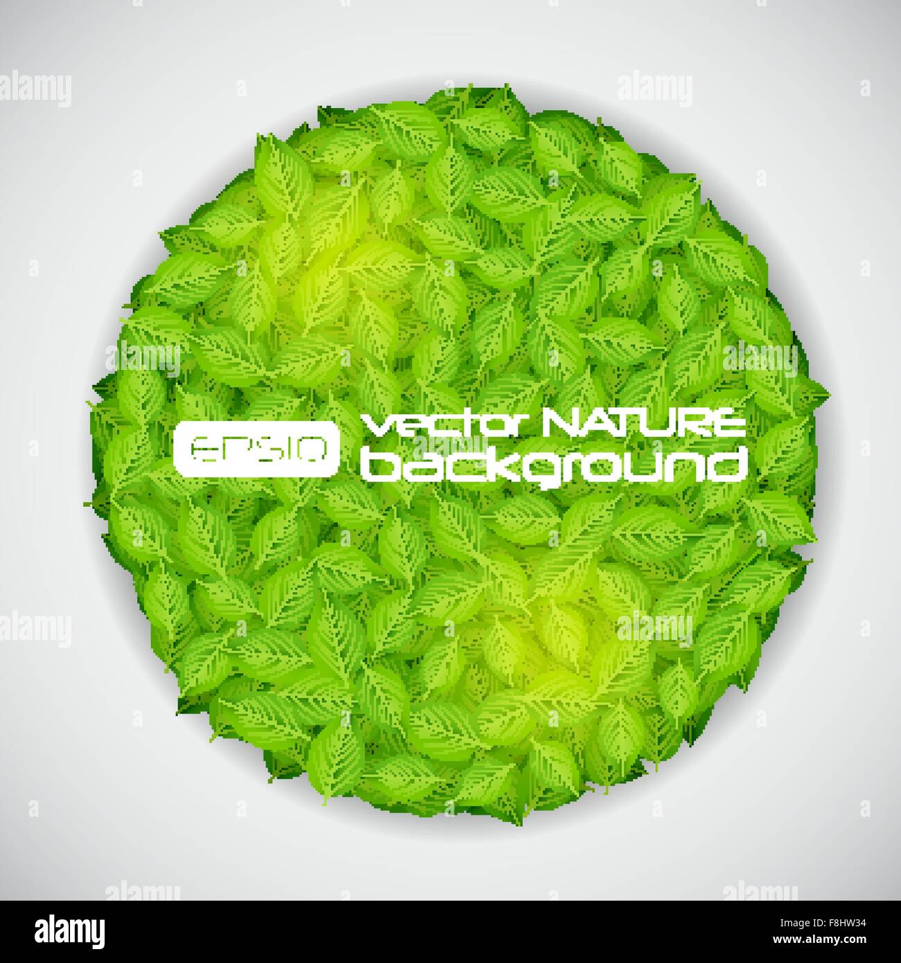 Shiny Natural Leaves Background. Vector Illustration Stock Vector Image ...