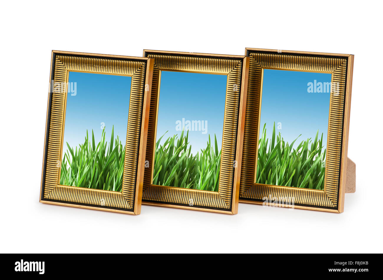 Turf pictures hi-res stock photography and images - Alamy