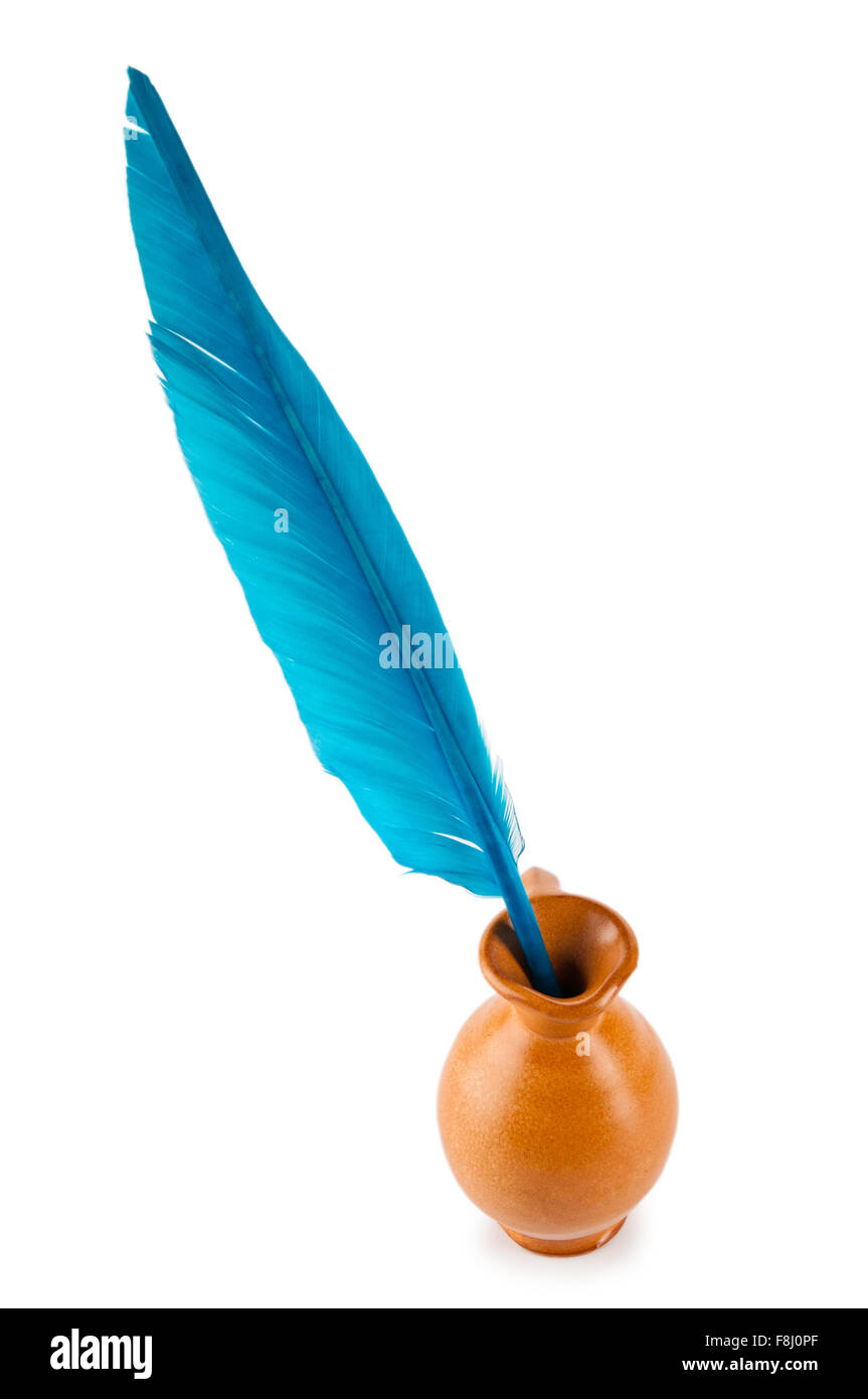 Writing feather isolated on the white background Stock Photo - Alamy