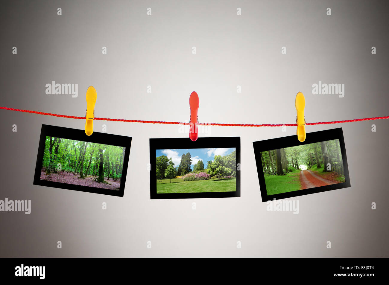 Picture frames with nature photos Stock Photo - Alamy