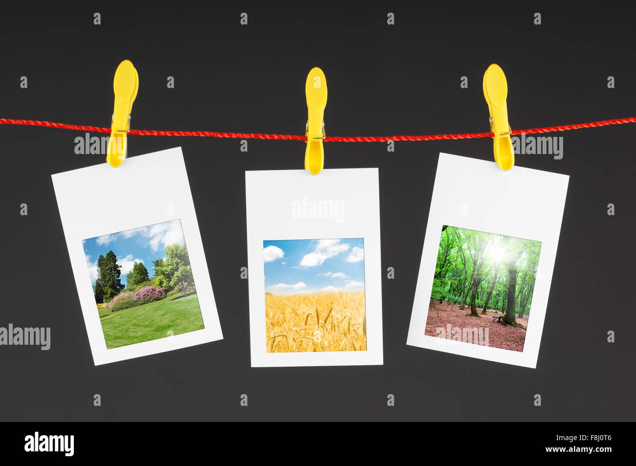 Picture frames with nature photos Stock Photo - Alamy