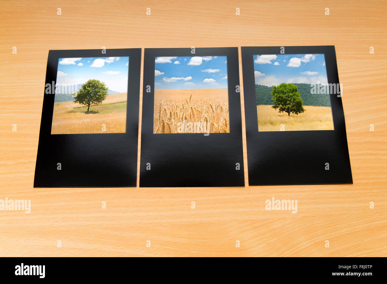 Picture frames with nature photos Stock Photo - Alamy