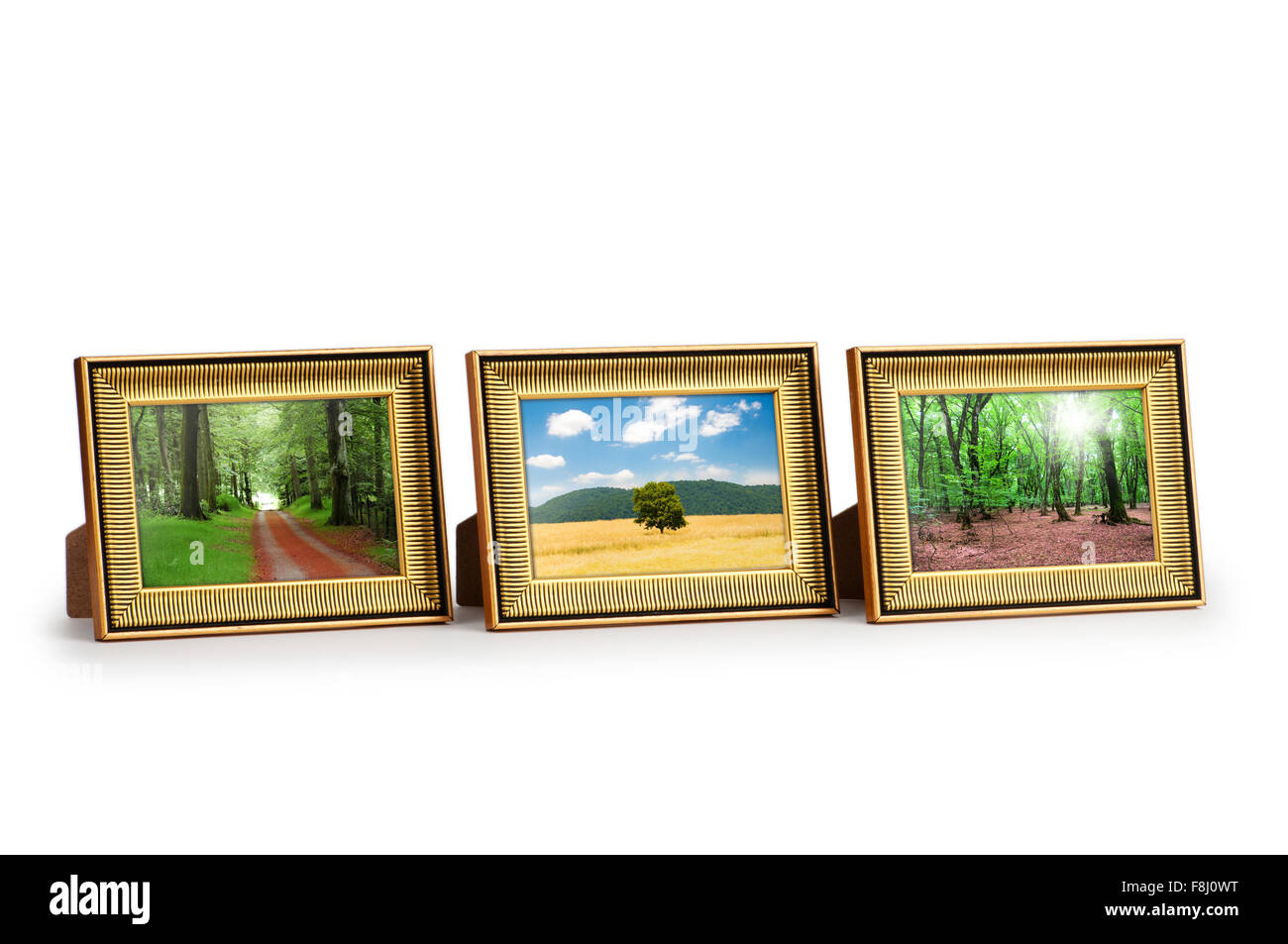 Picture frames with nature photos Stock Photo - Alamy