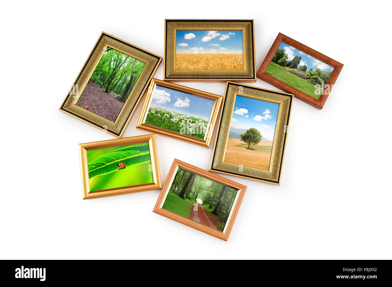 Nature photos in picture frames Stock Photo - Alamy