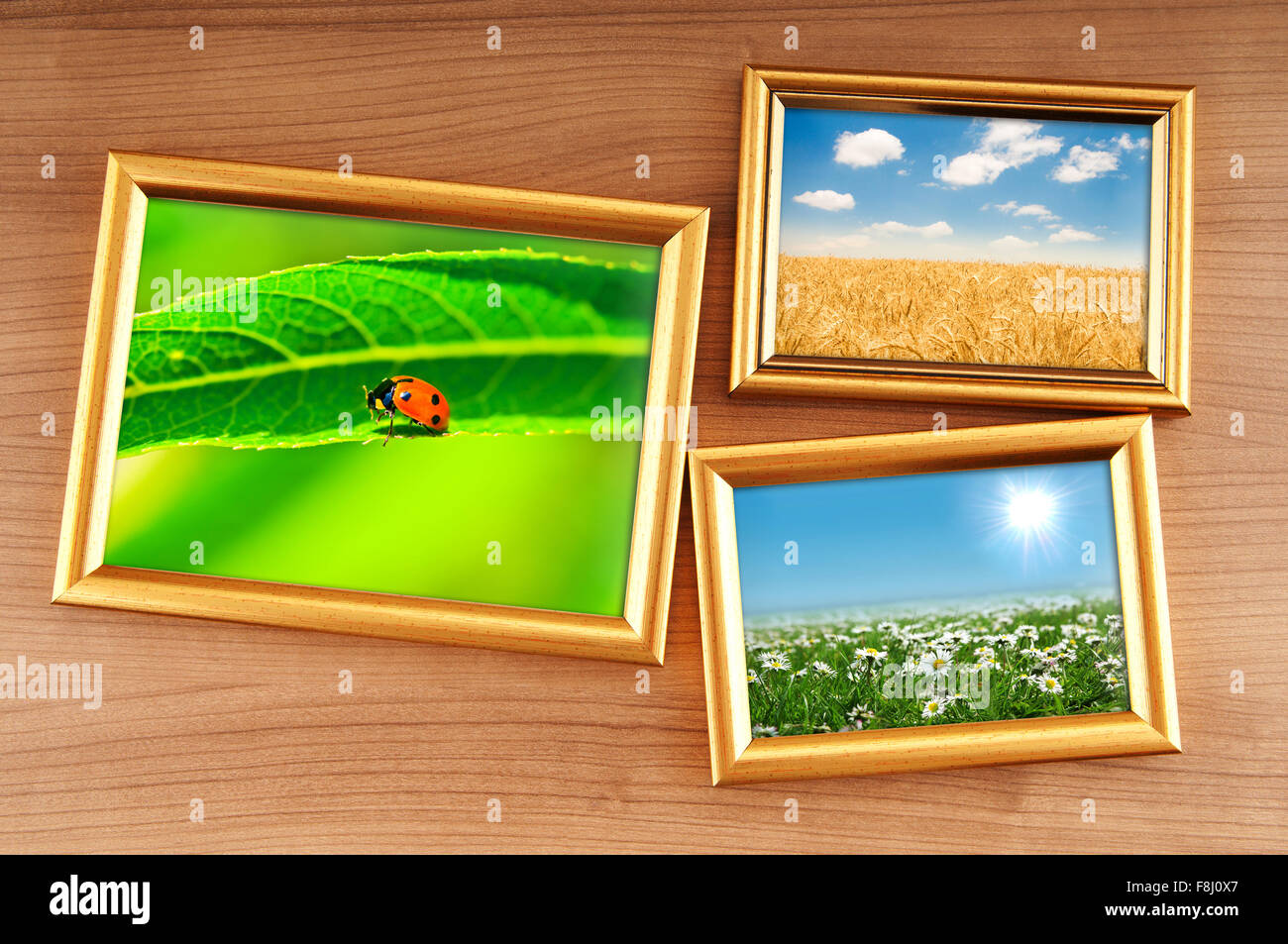 Nature photos in picture frames Stock Photo - Alamy
