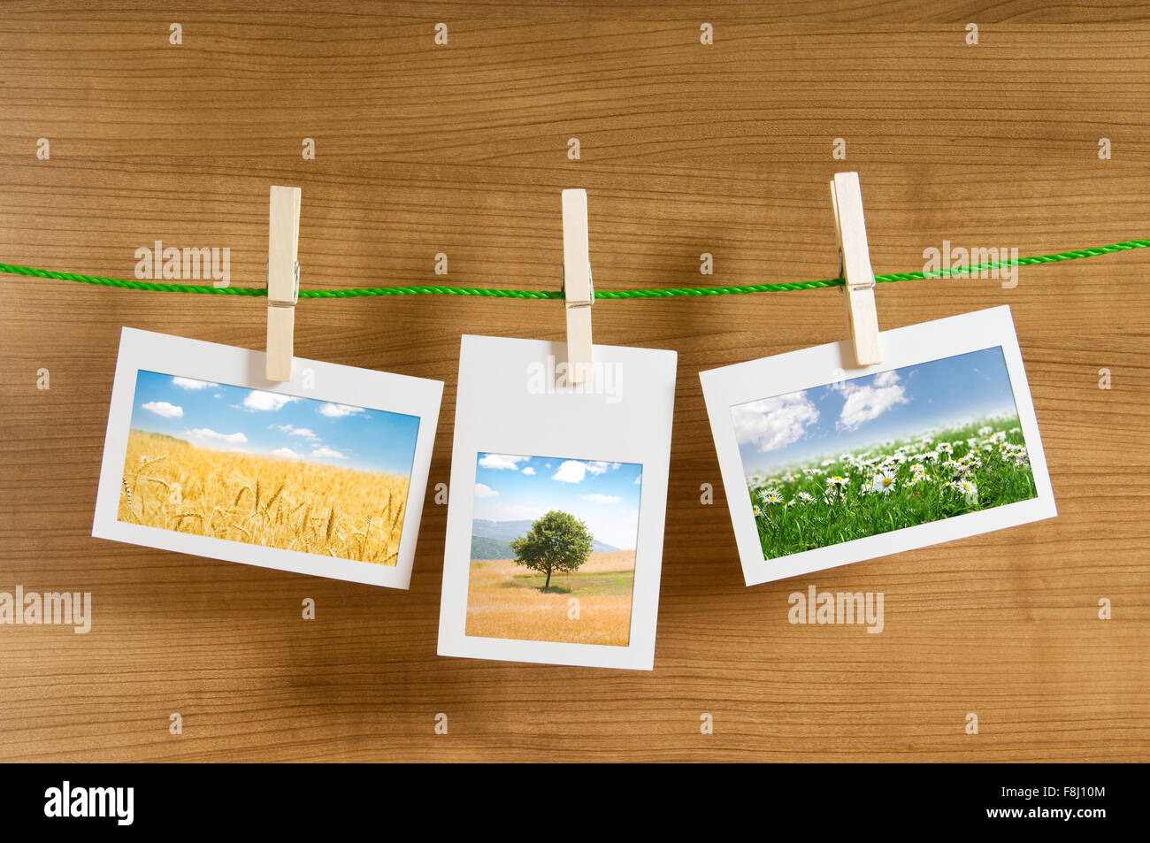 Picture frames with nature photos Stock Photo - Alamy