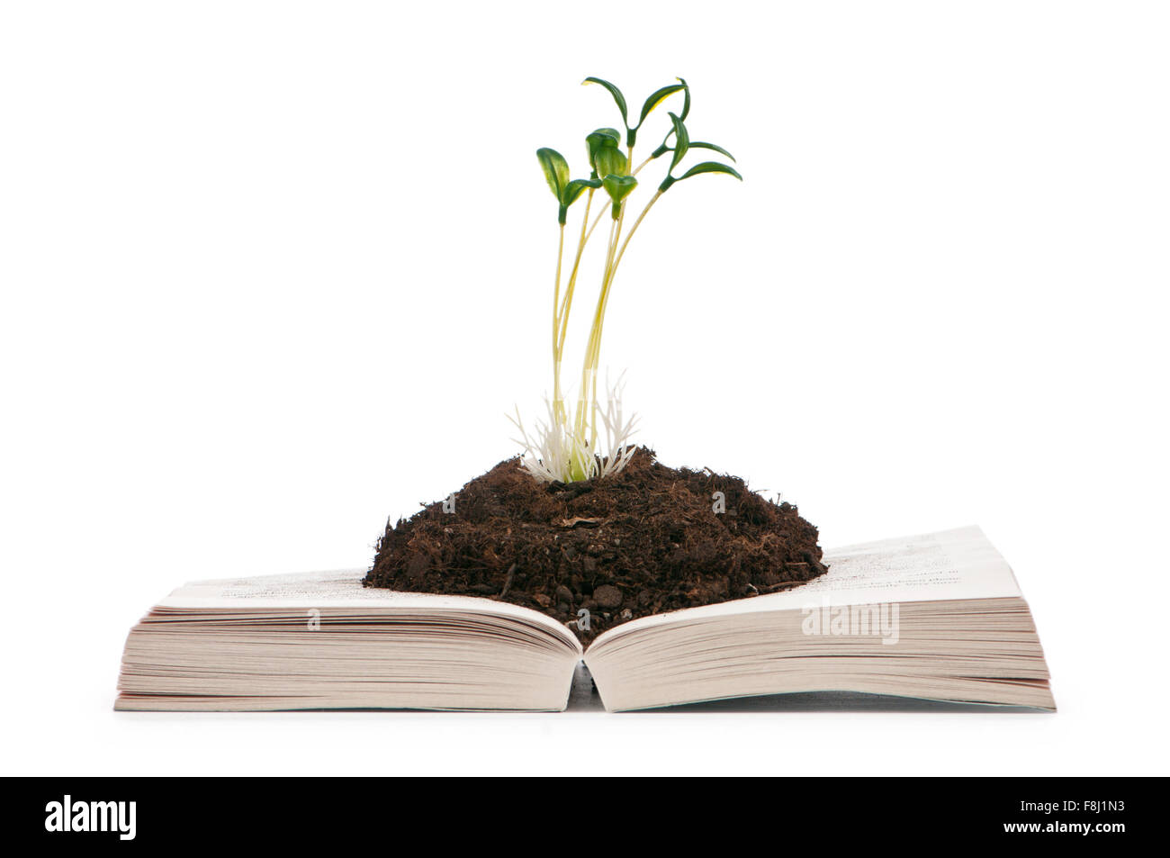 Cover seedlings Cut Out Stock Images & Pictures - Alamy