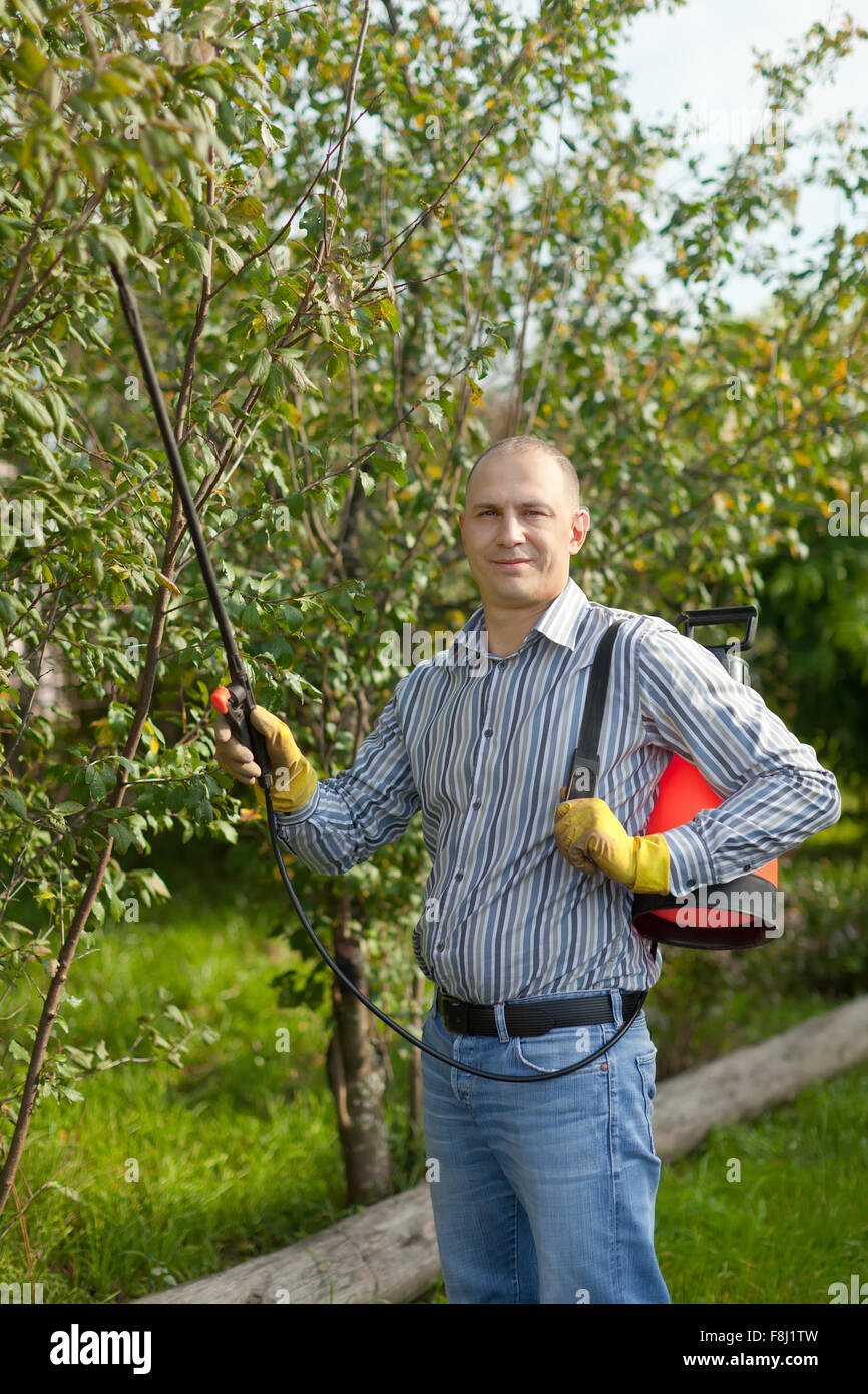 Man spraying tree plant in orchard Stock Photo - Alamy