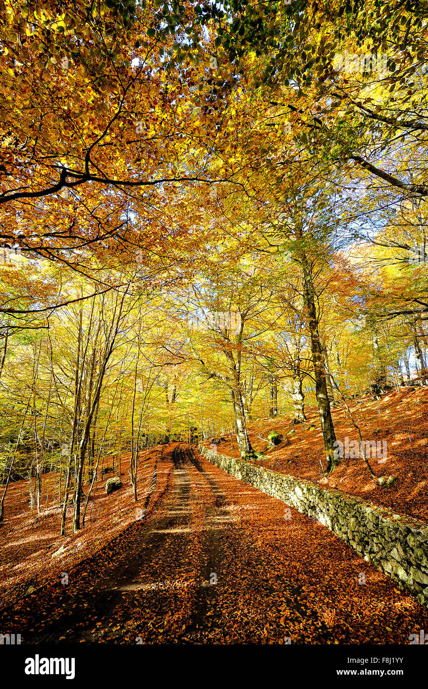 Matese italia hi-res stock photography and images - Alamy