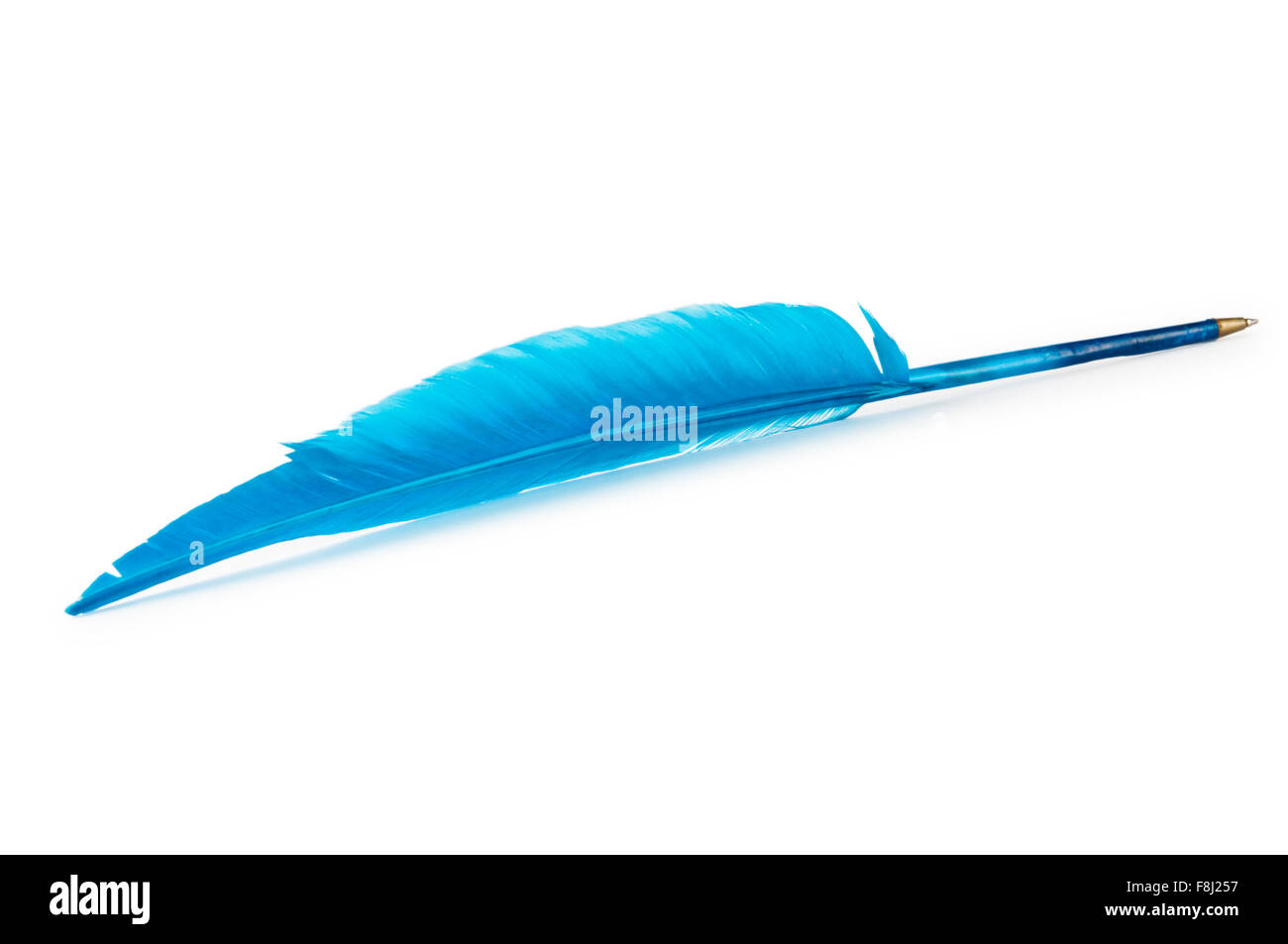Writing feather isolated on the white background Stock Photo - Alamy
