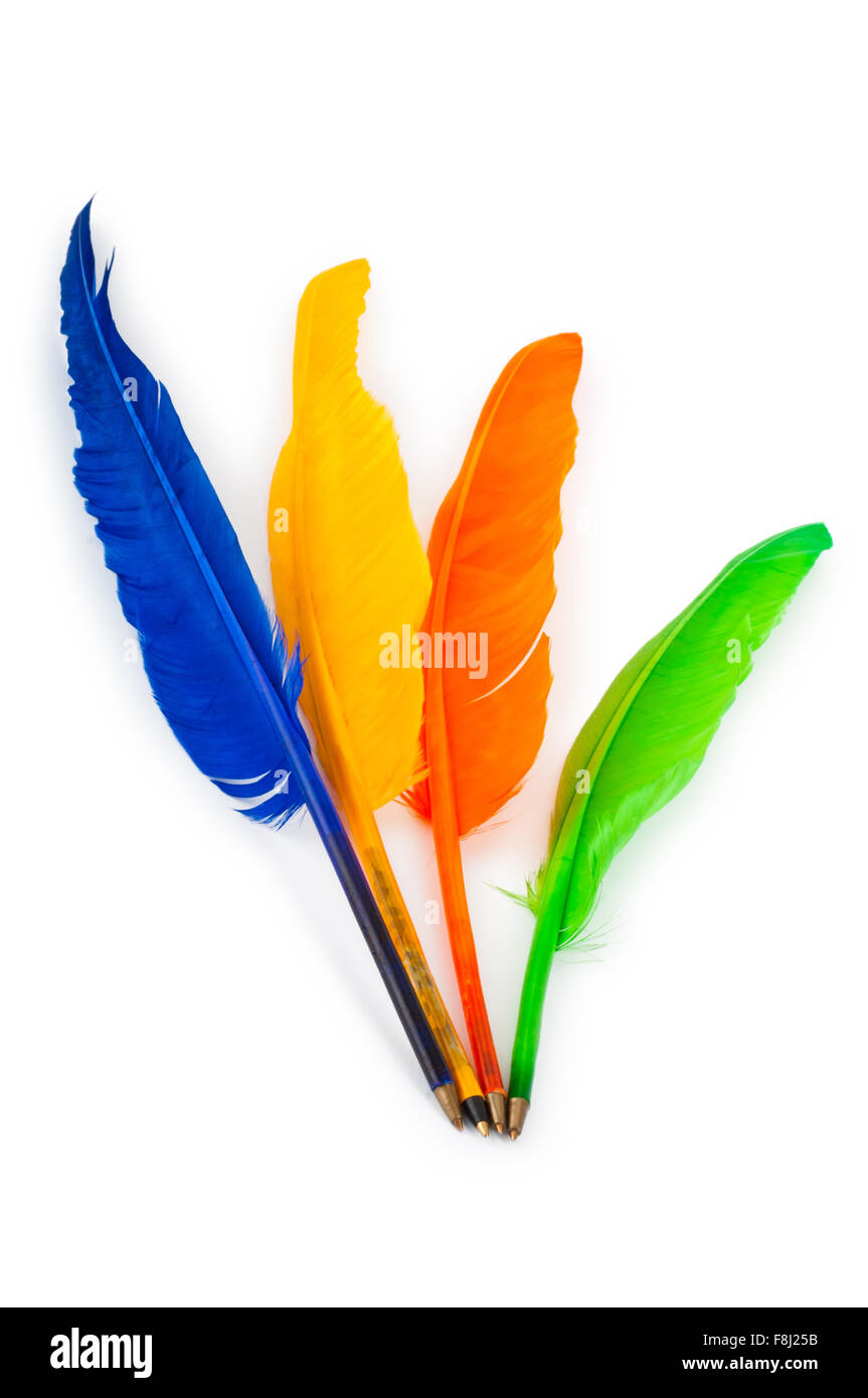 Writing feather isolated on the white background Stock Photo - Alamy