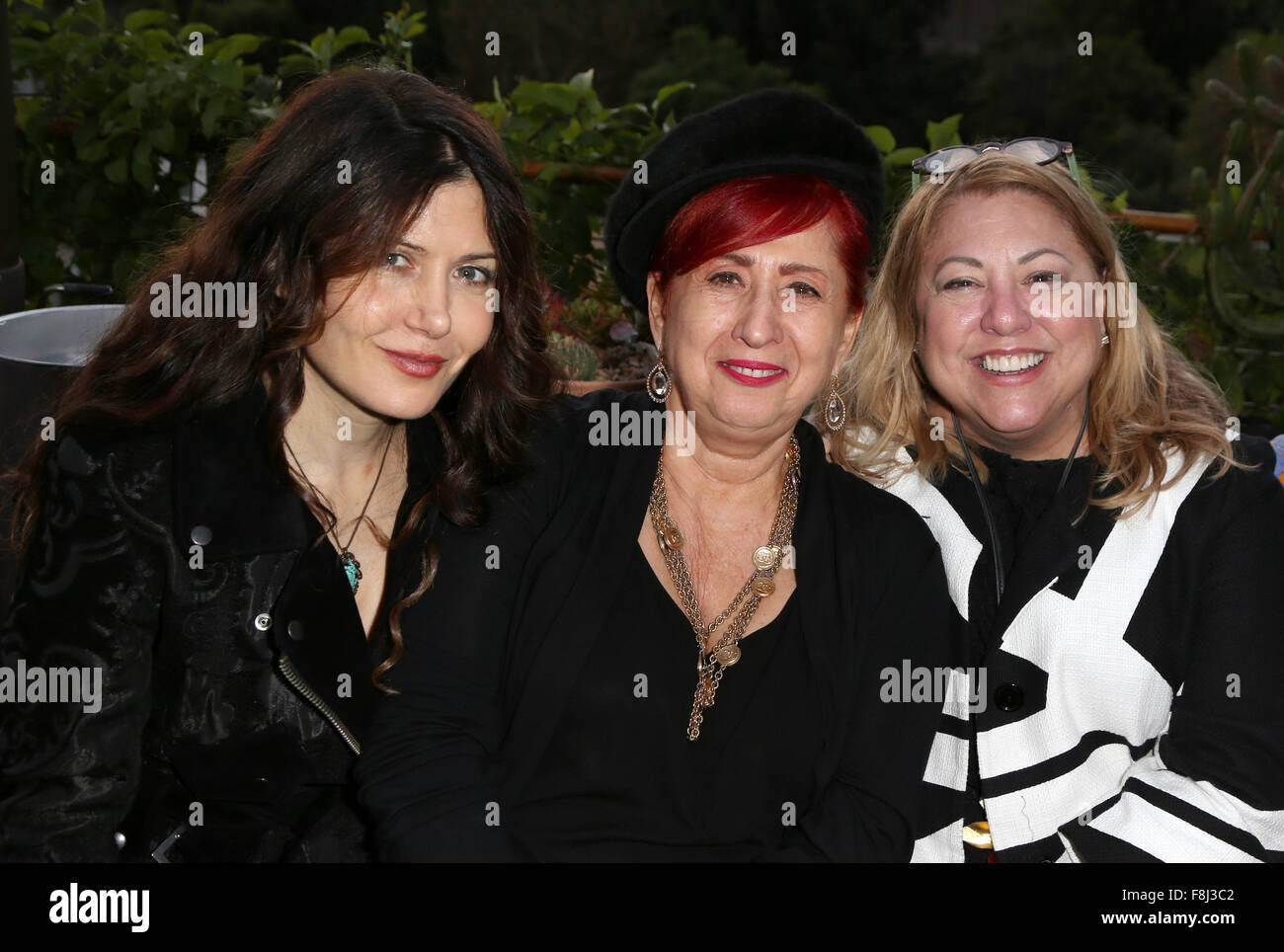 Screening of FilmRise's 'Janis: Little Girl Blue' Featuring: Lucy Webb ...