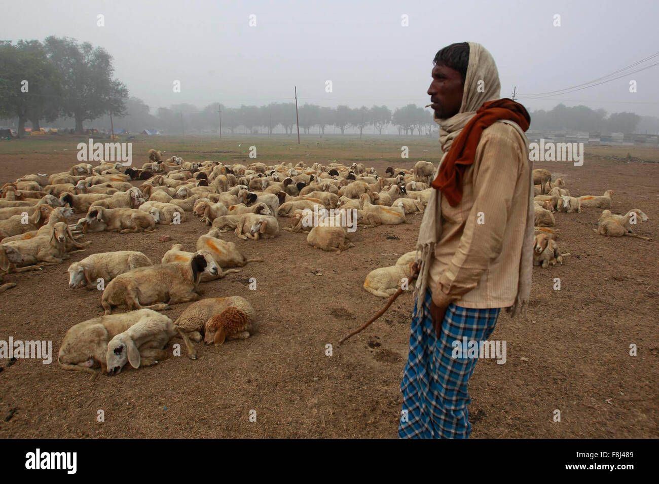 Allahabad, India. 10th Dec, 2015. A Shepard man with his shepherd in ...