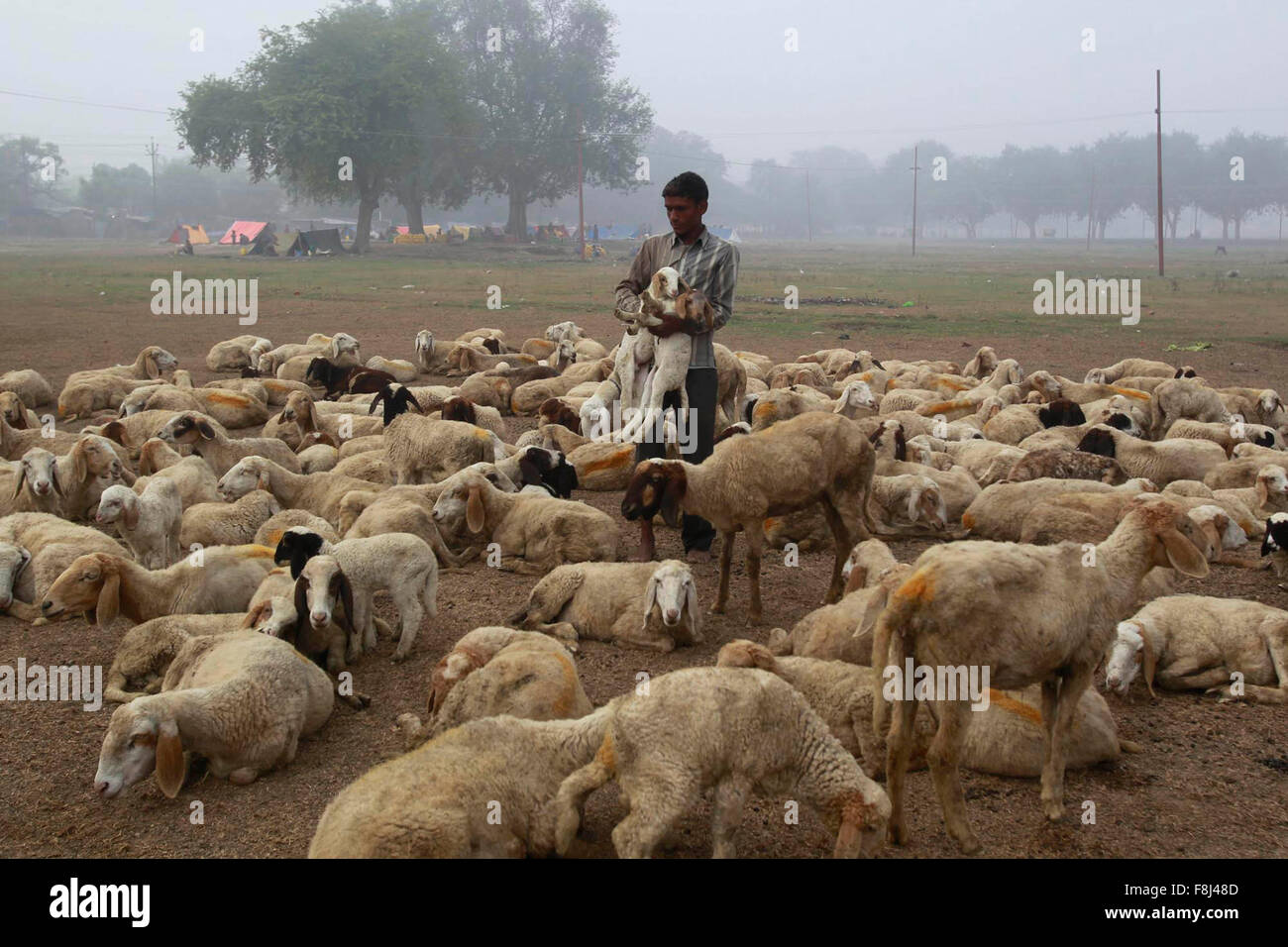 Allahabad, India. 10th Dec, 2015. A Shepard man with his shepherd in ...