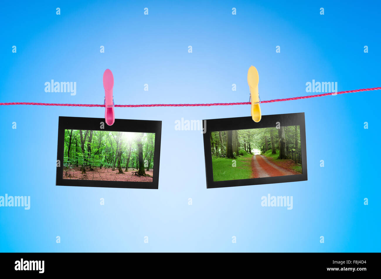 Picture frames with nature photos Stock Photo - Alamy