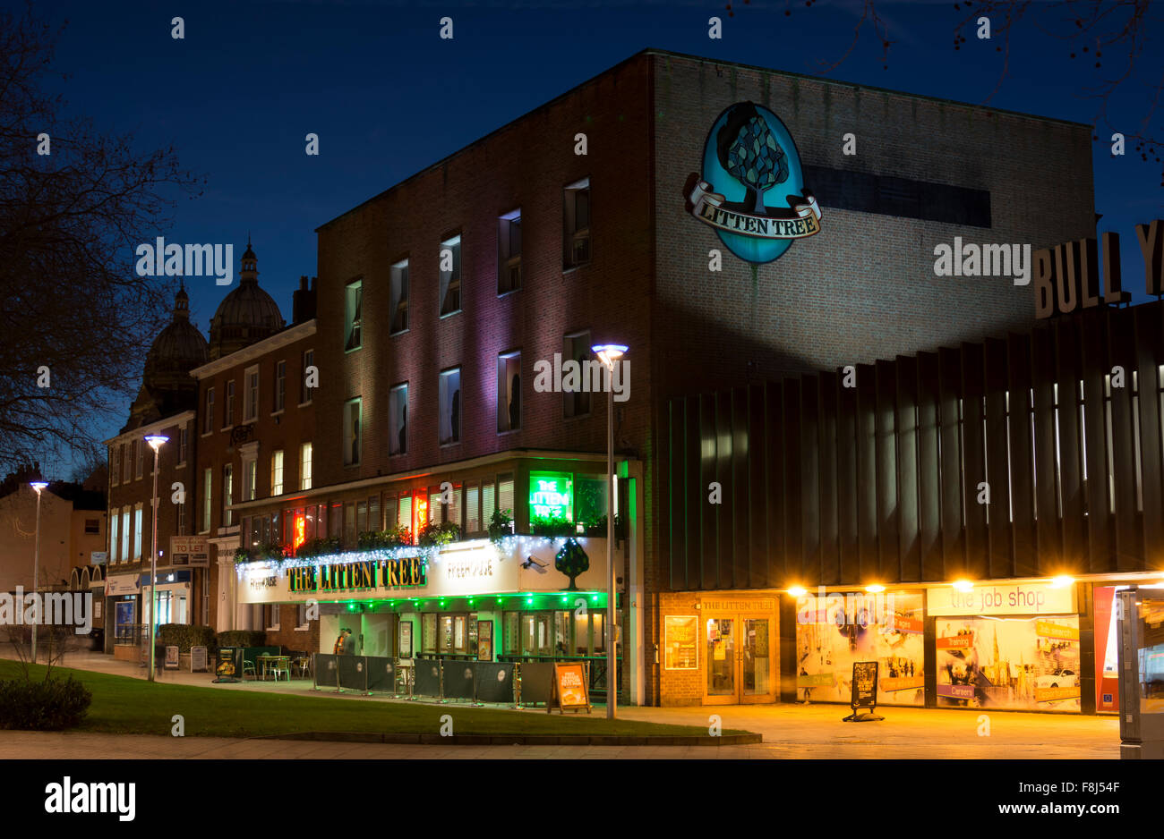 Litten tree hi-res stock photography and images - Alamy