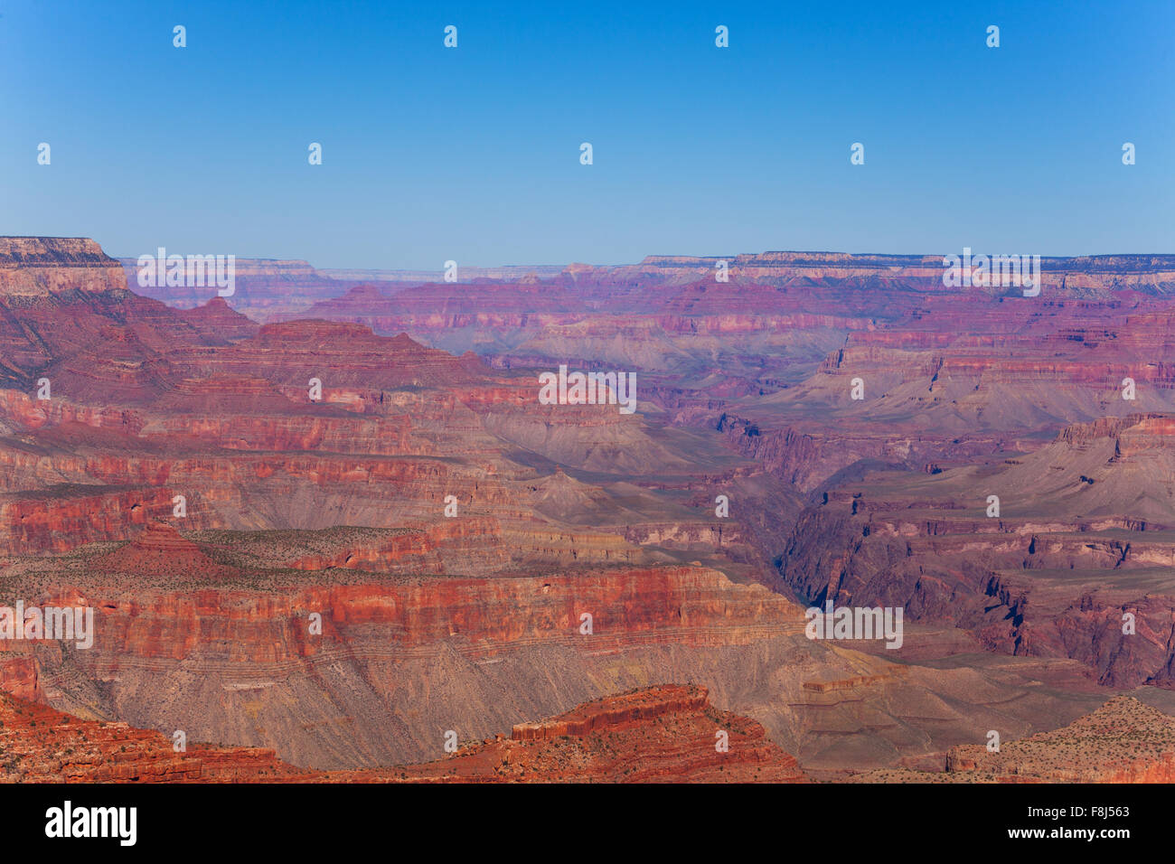 Exploring the grand canyon hi-res stock photography and images - Alamy