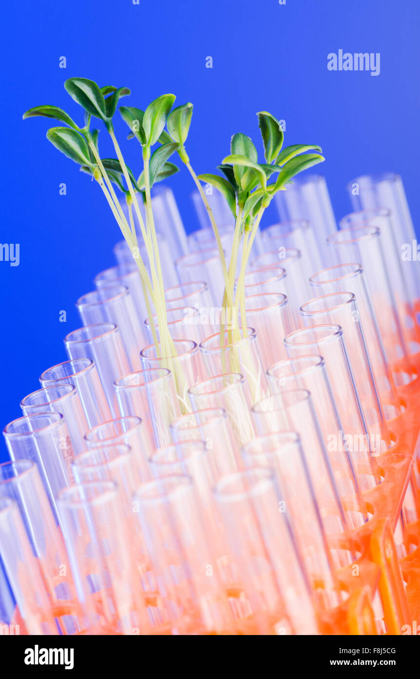 Lab experiment with green grass Stock Photo - Alamy