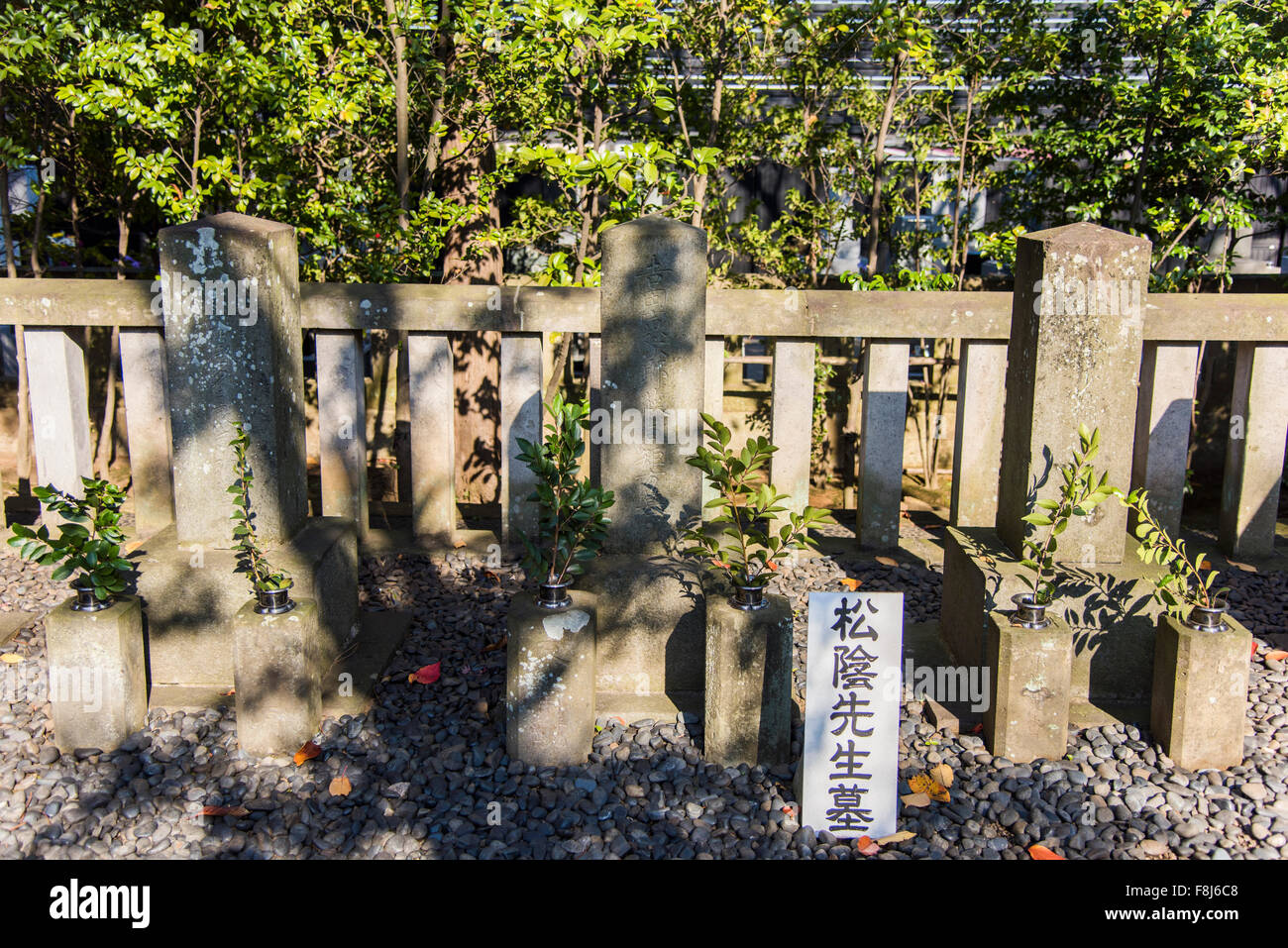 Shoin Jinja, Setagaya-Ku,Tokyo,Japan Stock Photo - Alamy