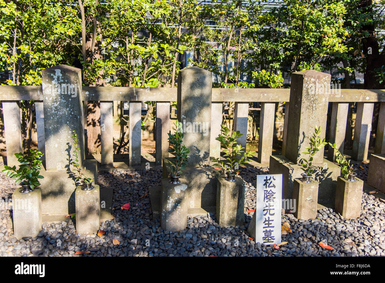 Shoin building hi-res stock photography and images - Alamy